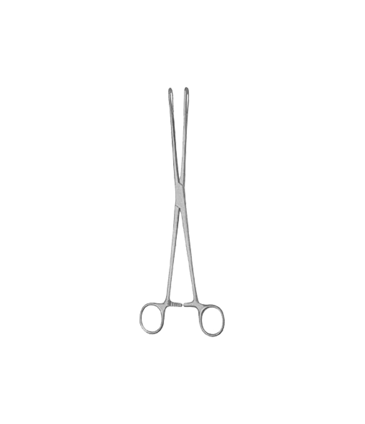 Rampley Sponge Holding Forceps 25cm — Stark Medical Pty Ltd