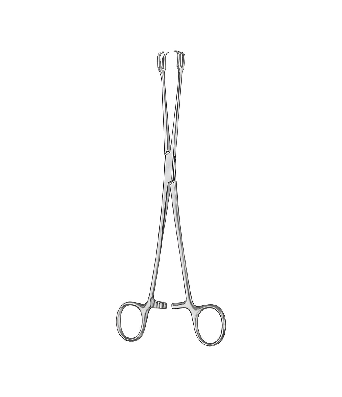 Schroeder Vulsellum Forceps Strong 2x2 Tooth 24.0cm — Stark Medical Pty Ltd
