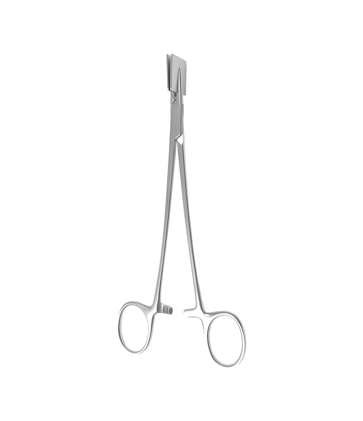 Gelfoam-House Pressure Forceps — Stark Medical Pty Ltd